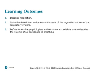 Medical Terminology: Chapter 11 Respiratory System | PPTX