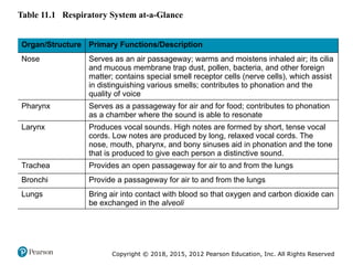 Medical Terminology: Chapter 11 Respiratory System | PPTX