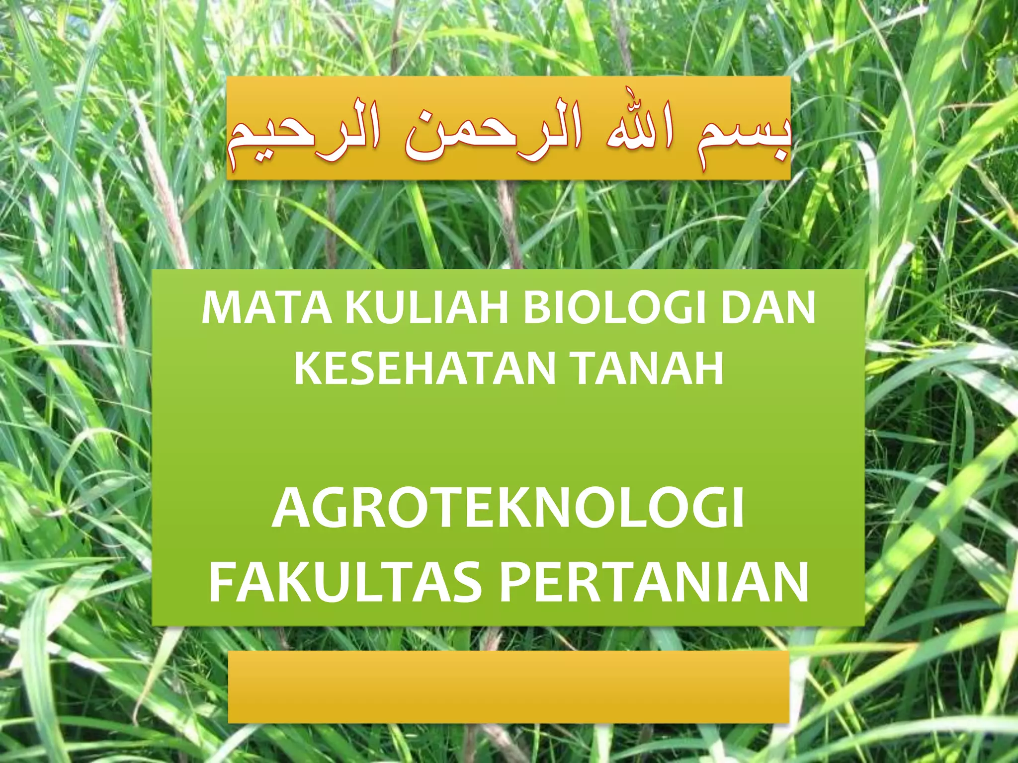 Keanekaragaman Rayap Tanah di Hutan Pendidikan, Gunung Walat, Sukabumi ...