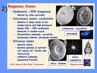 10 Marine Sediments Notes | PPT | Geology | Science