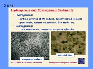 10 Marine Sediments Notes | PPT | Geology | Science