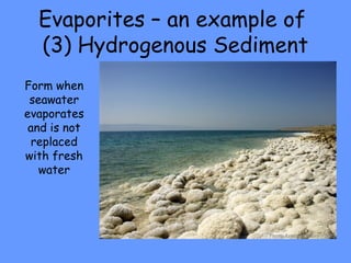 10 Marine Sediments Notes | PPT | Geology | Science