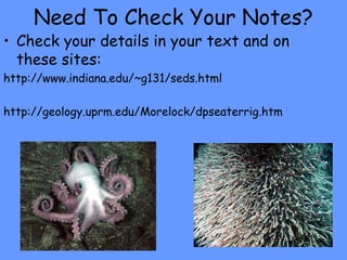 10 Marine Sediments Notes | PPT | Geology | Science
