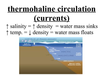 Ocean Currents PowerPoint | PPT