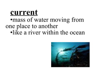 Ocean Currents PowerPoint | PPT