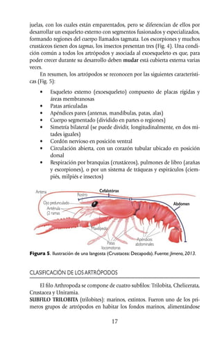 INSECTOS de importancia agrícola. | PDF