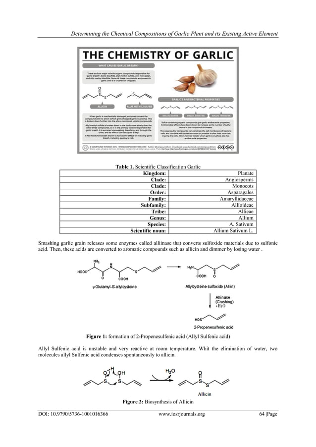 Determining the Chemical Compositions of Garlic Plant and its Existing ...