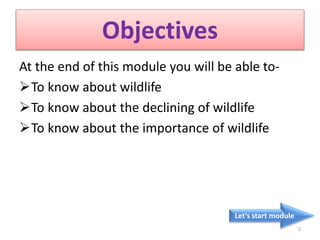 Programed instructional material: Wildlife | PPTX