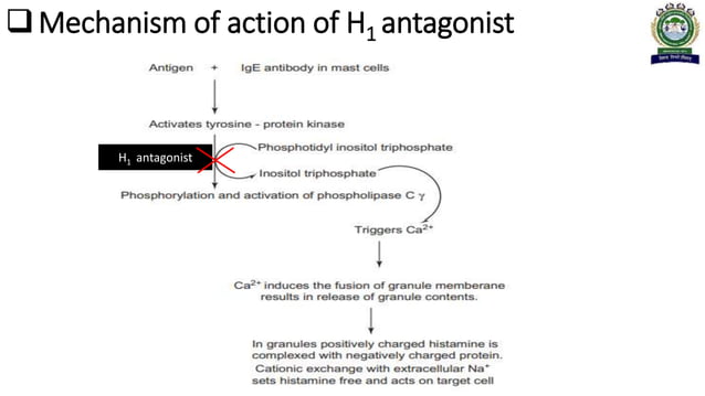 H1 and H2 antagonist Medicinal Chemistry.pptx | Allergies | Diseases ...