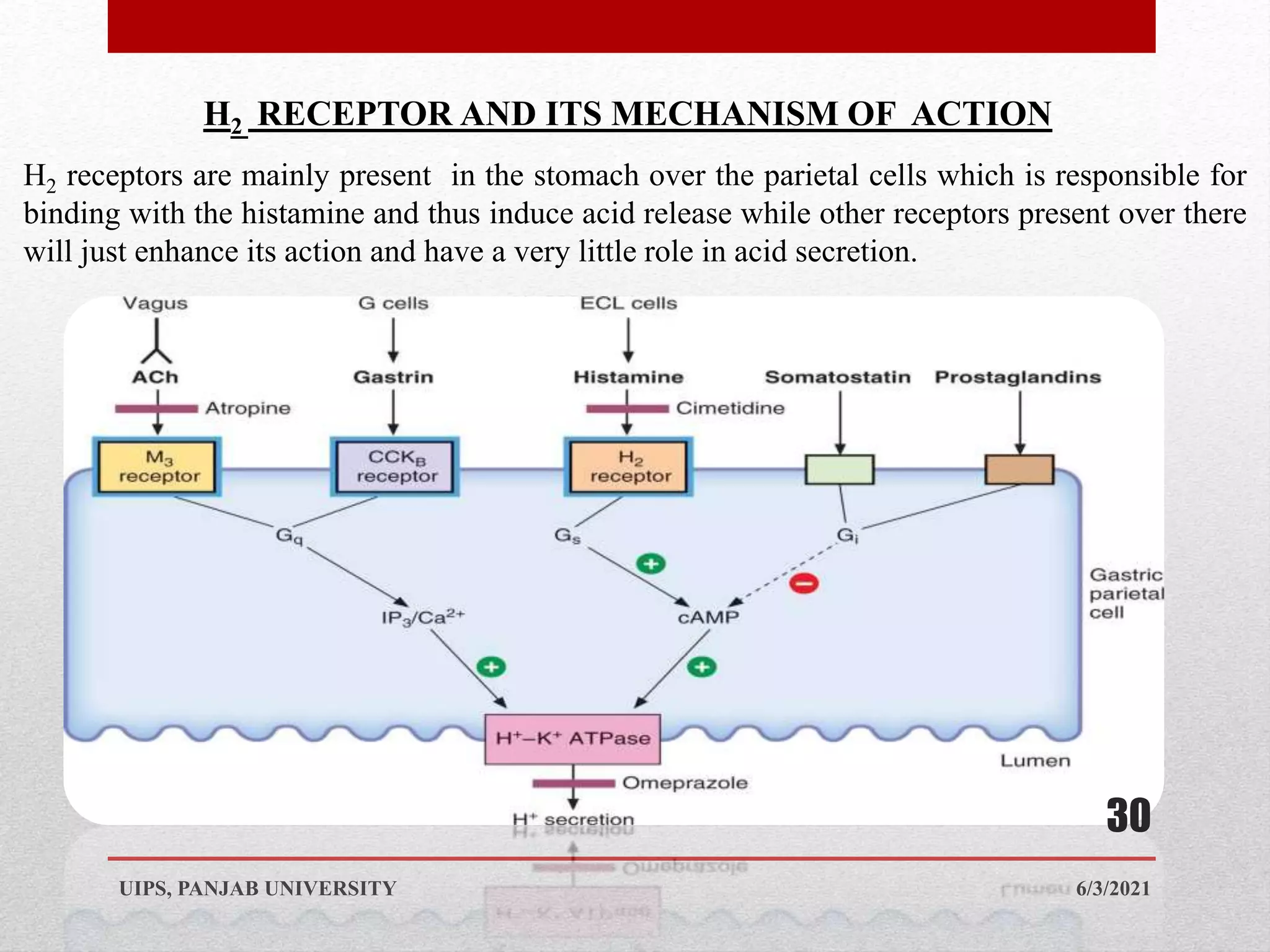 H1 and h2 receptor antagonist | PPTX