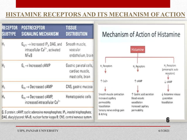 H1 and h2 receptor antagonist