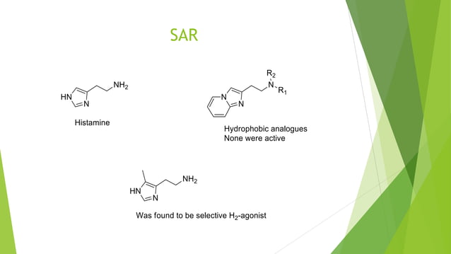 H1 & h2 receptor blockers | PPTX | Allergies | Diseases and Conditions