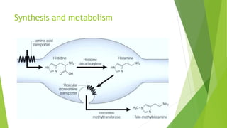 H1 & h2 receptor blockers | PPTX
