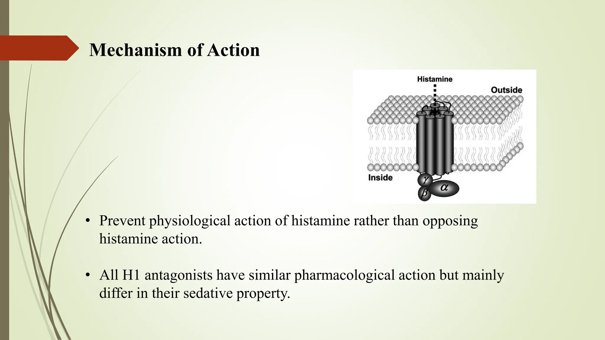 Advanced Medicinal Chemistry: H1&H2 antagonists | PPTX