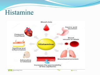 H1 & H2 receptor antagonist | PPTX