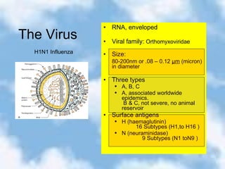 H1 N1 | PPT