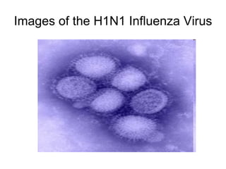 H1n1 Influenza Virus