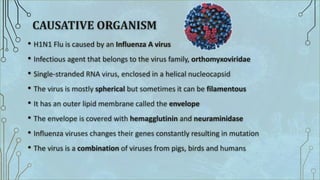 H1N1.pptx