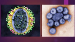 H1N1 ppt | PPTX