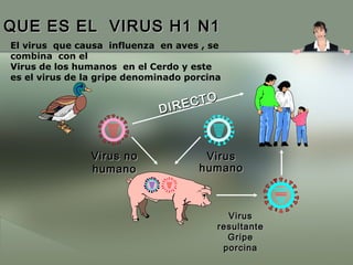 H1 N1 PREVENCION | PPT