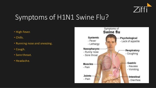 H1N1 Swine Flu: Symptoms, Causes, Prevention, Tests and Vaccination