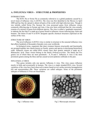 H1N1 Influenza booklet | PDF