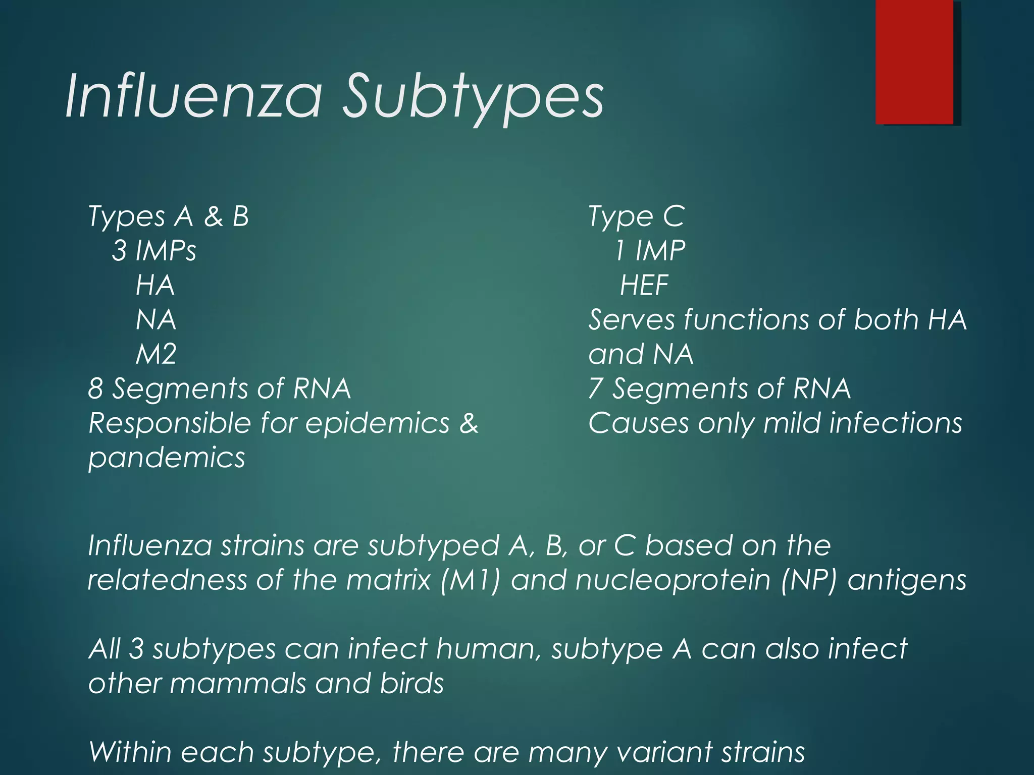 H1 N1 influenza (swine flu) | PPT