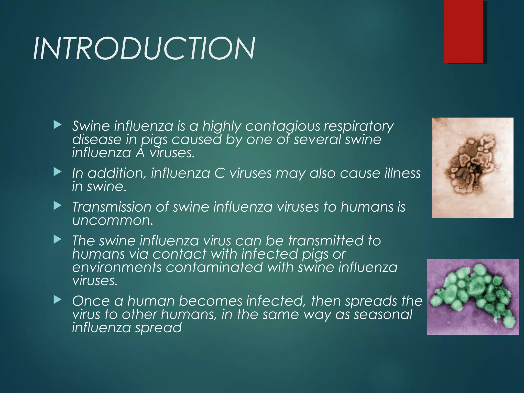 H1 N1 influenza (swine flu) | PPT