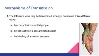 H1 n1 influenza type a | PPT | Free Download