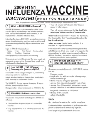 H1 N1 Information Sheet | PDF