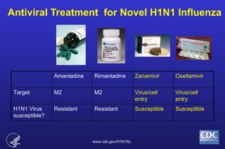 H1 N1 Powerpoint | PPT