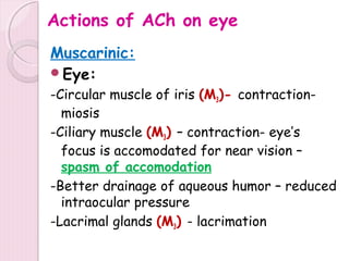 4.cholinergic and anticholinergics | PPT