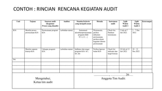 H2 AUDIT PLAN ppt.ppt