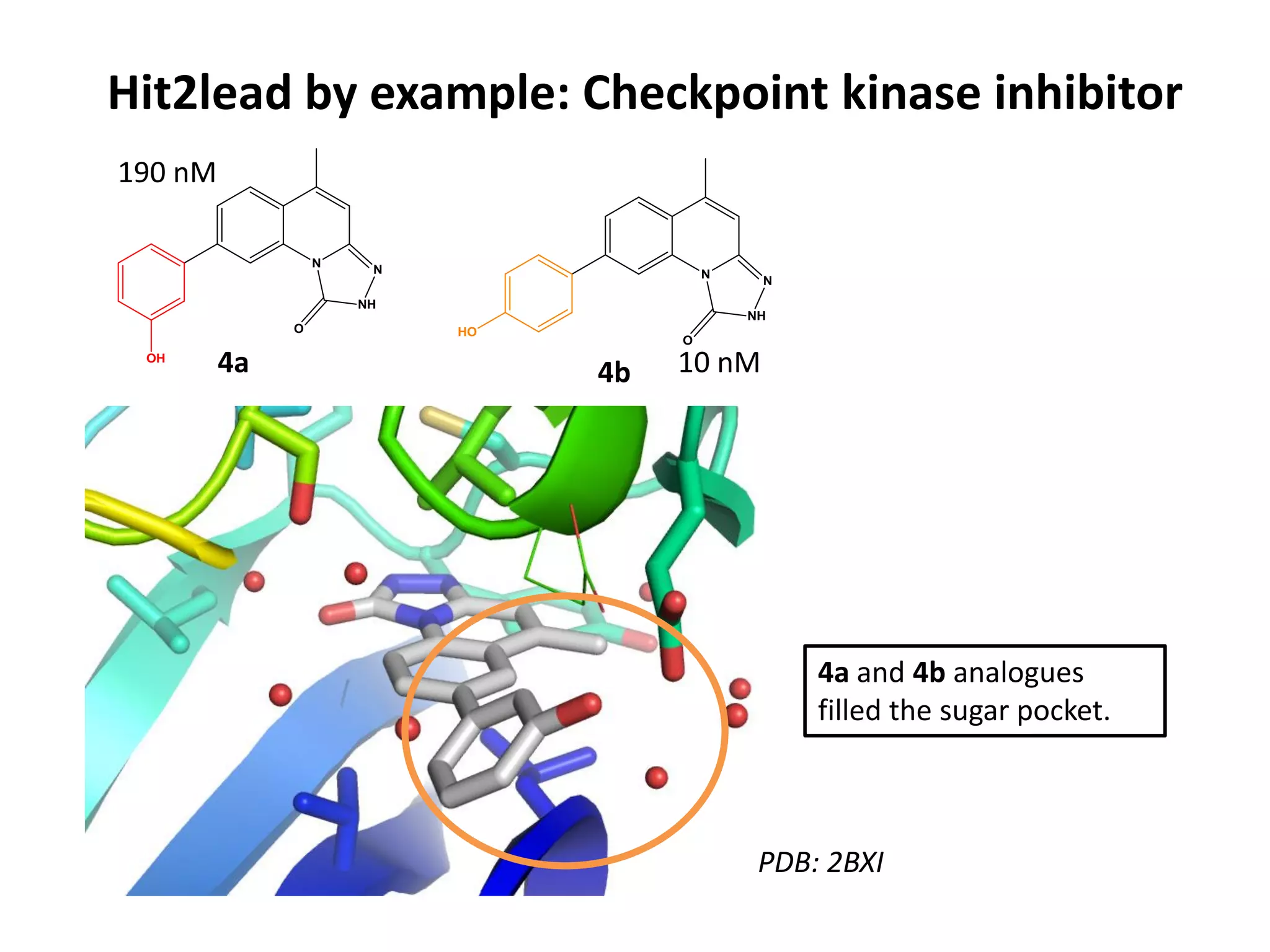 Hit2Lead by example: checkpoint kinase inhibitors | PDF
