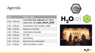 Automatic and Interpretable Machine Learning in R with H2O and LIME | PPT