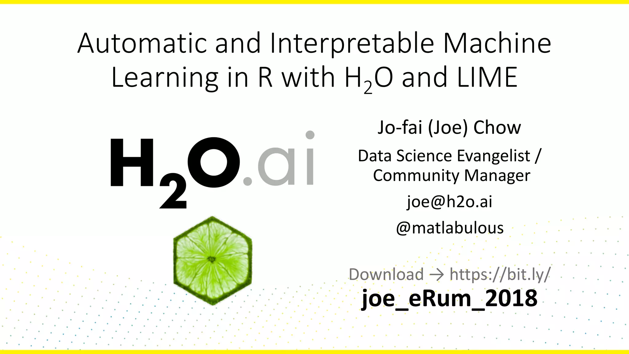 Automatic and Interpretable Machine Learning in R with H2O and LIME | PPT