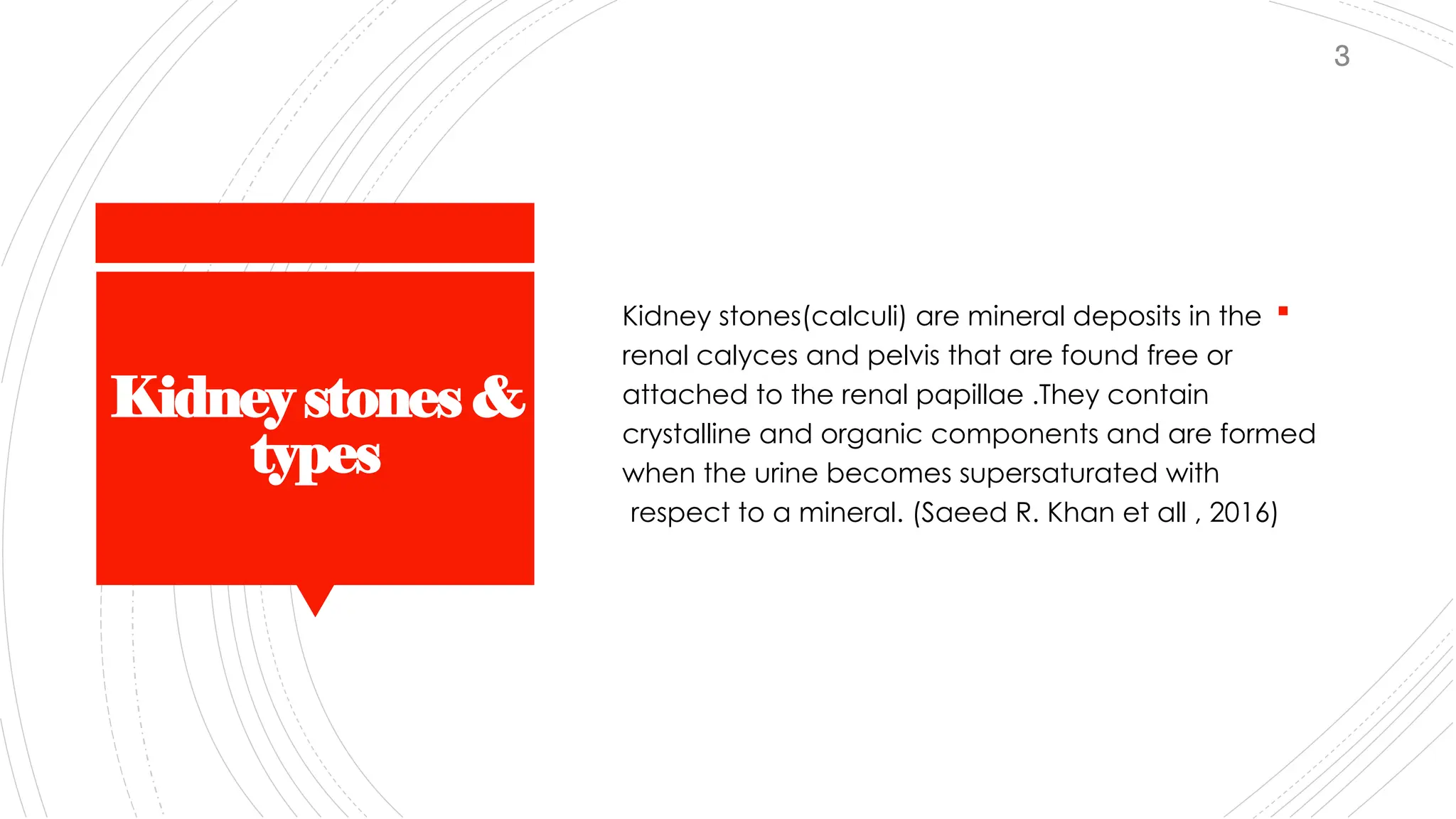 Kidney Stones PowerPoint Presentation – PPT & pdf file | PPTX ...