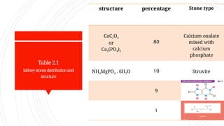 Kidney Stones PowerPoint Presentation – PPT & pdf file | PPTX ...