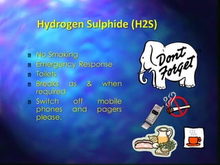 H2S Presentation for lng plant or other factory.pdf