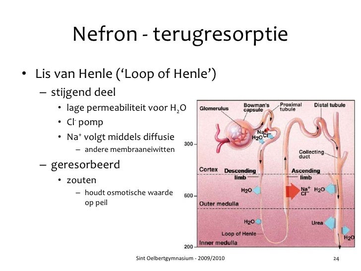 Hoofdstuk 35 - Audesirk