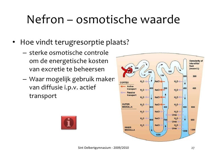 Hoofdstuk 35 - Audesirk