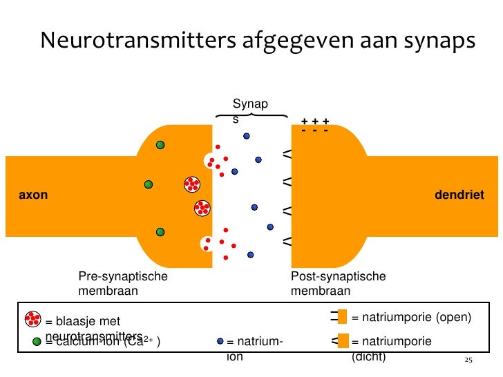 Hoofdstuk 38 - Audesirk