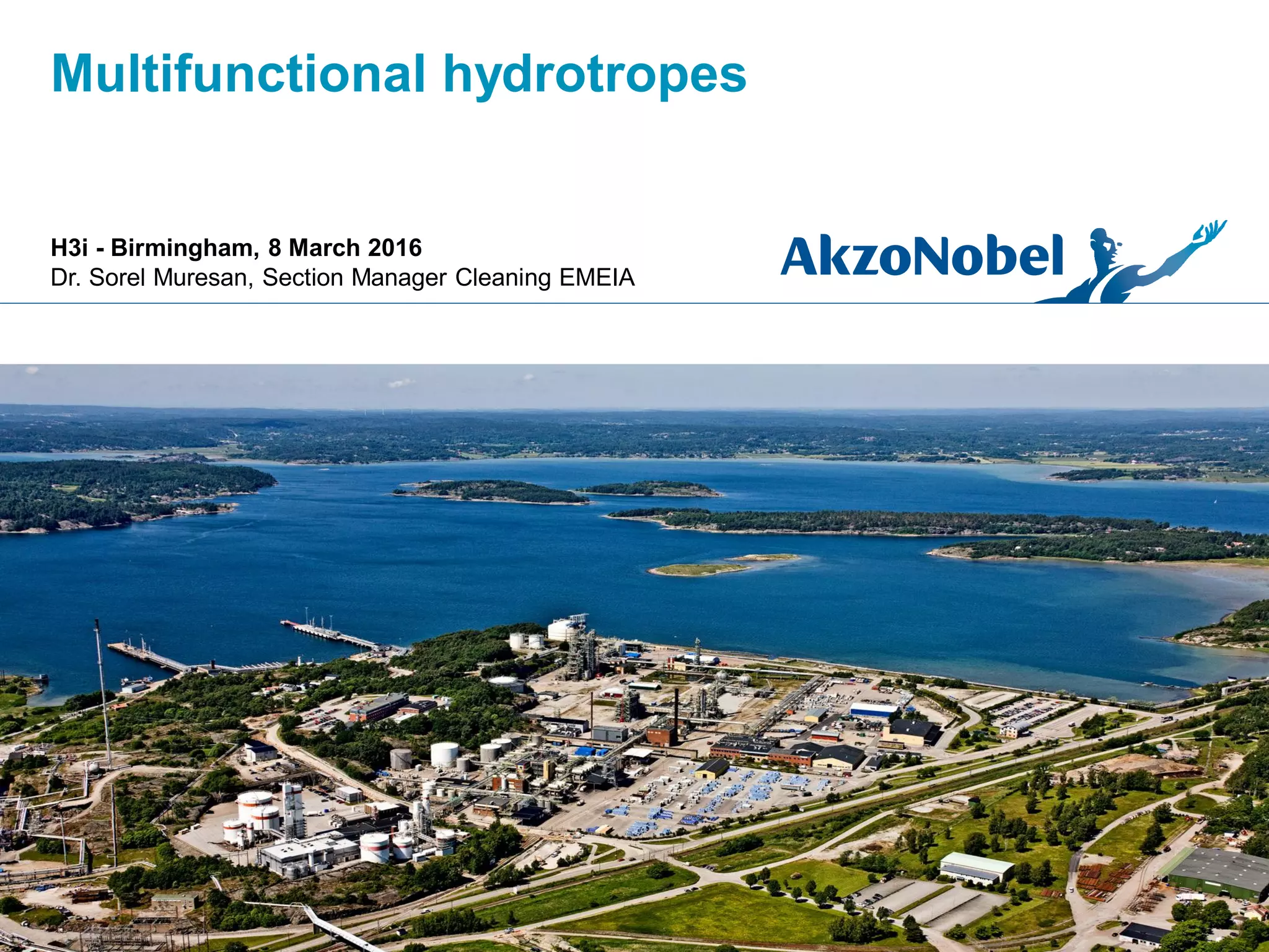 Multifunctional hydrotropes | PDF