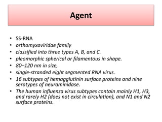 H3N2.pptx
