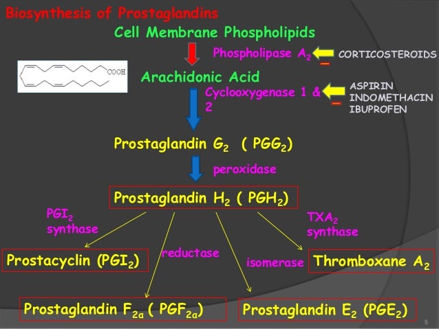 Prostaglandins.bioch212pptx