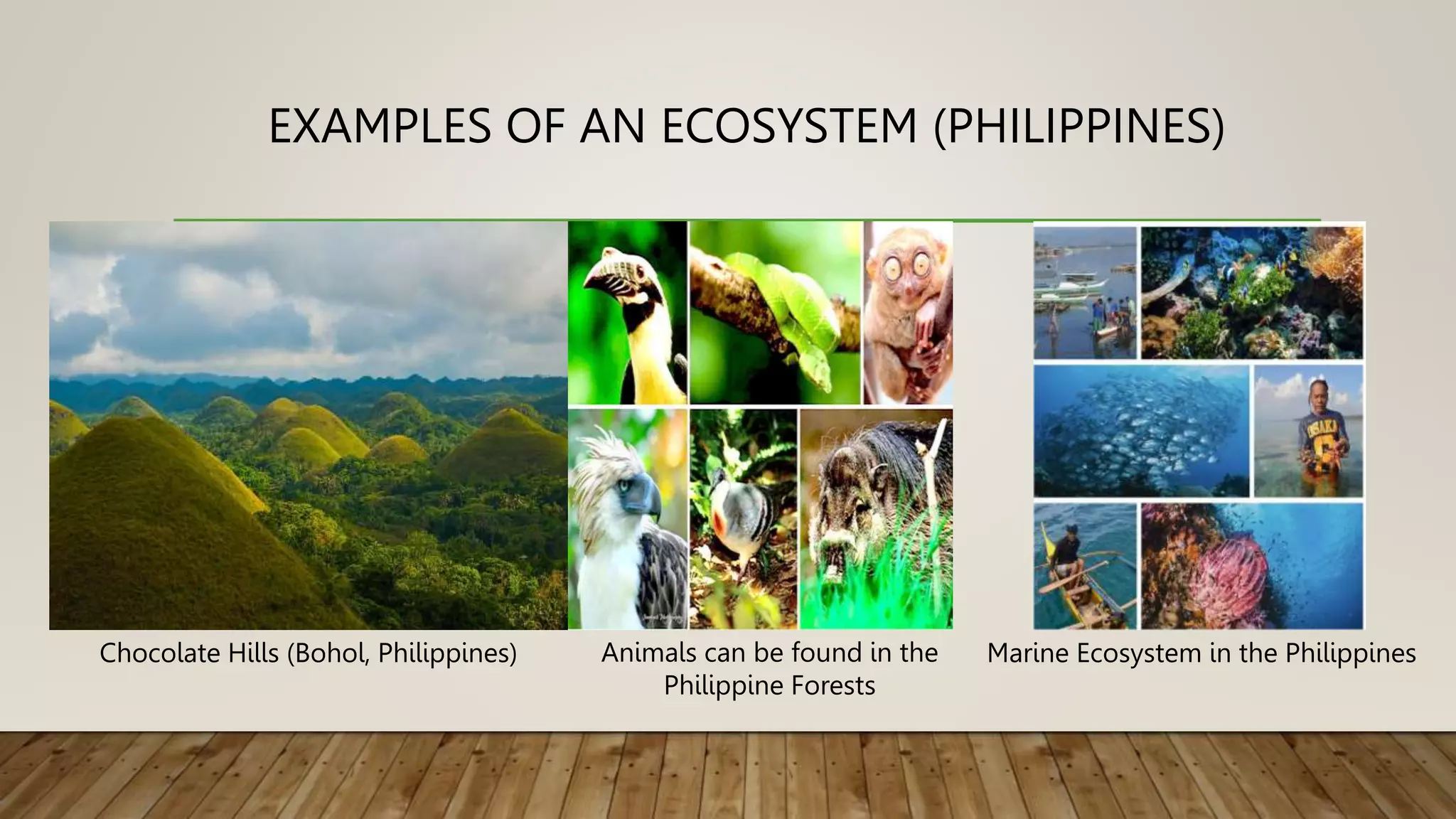 ECOLOGY_(grade_7).pptx