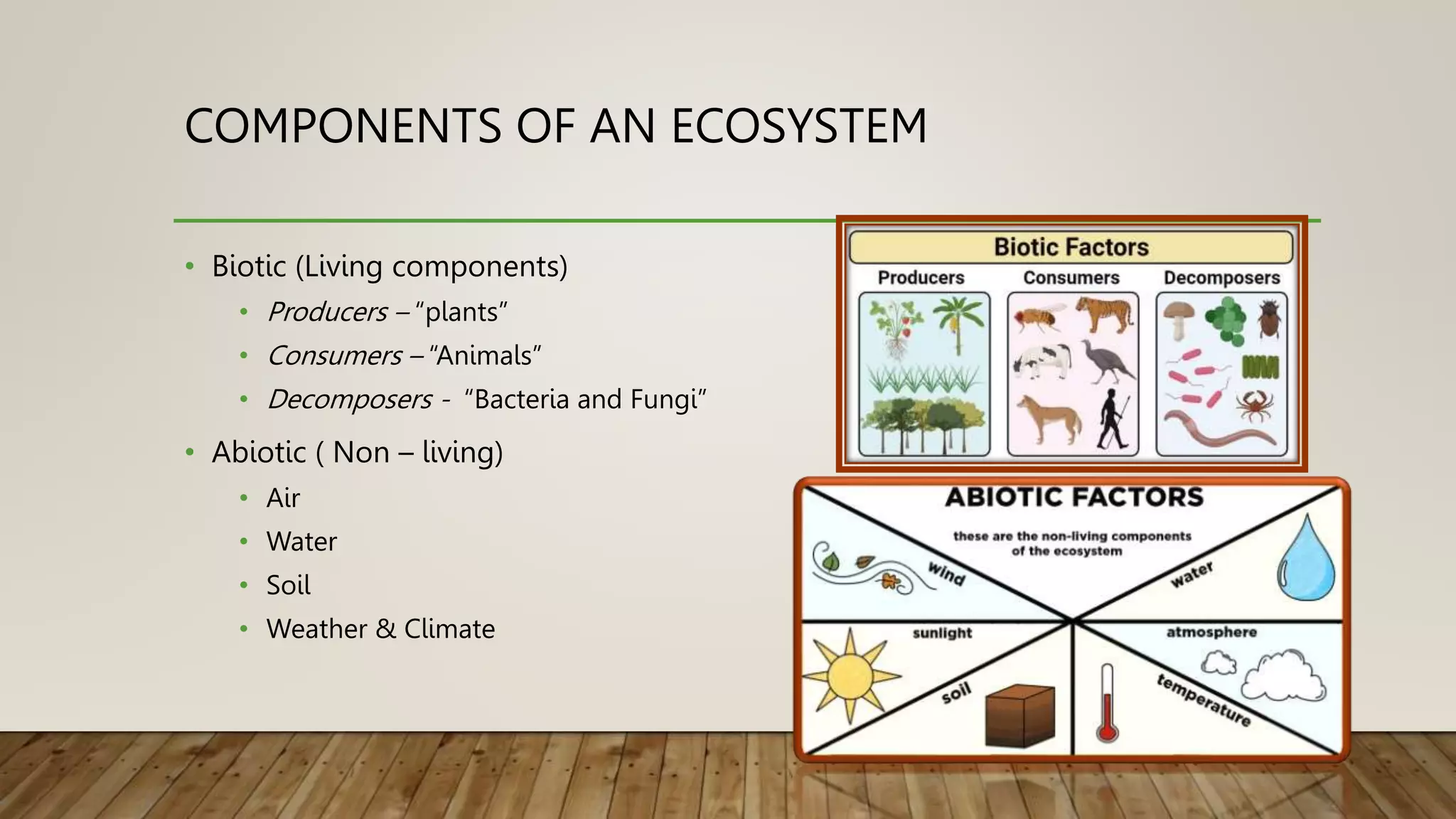 ECOLOGY_(grade_7).pptx