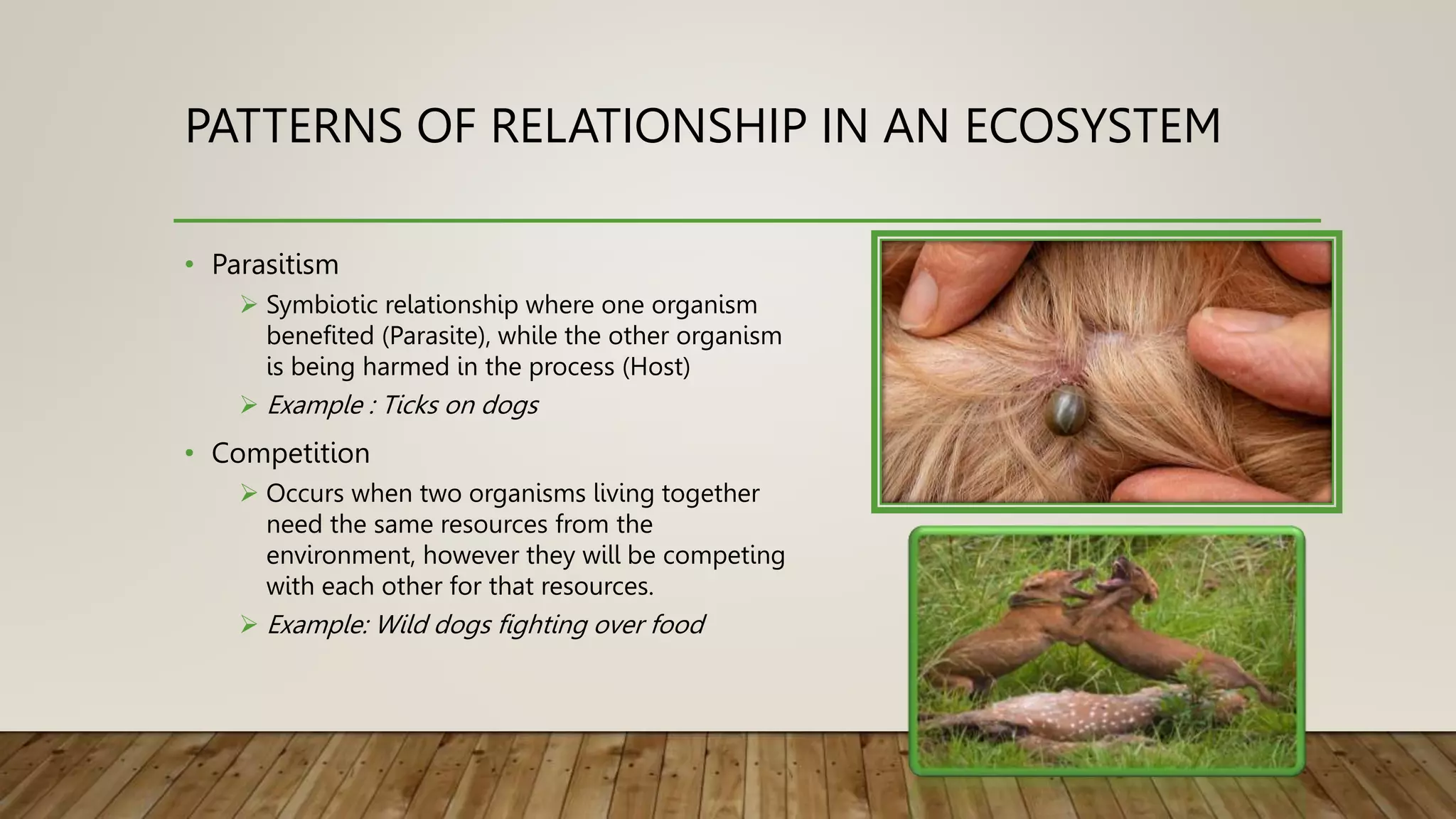 ECOLOGY_(grade_7).pptx