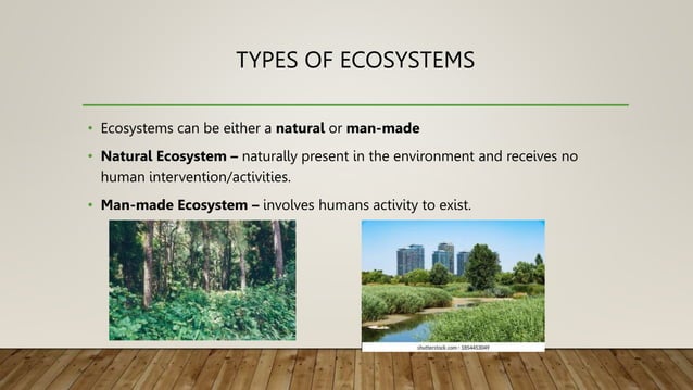 ECOLOGY_(grade_7).pptx | Biological Sciences | Science