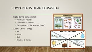 ECOLOGY_(grade_7).pptx